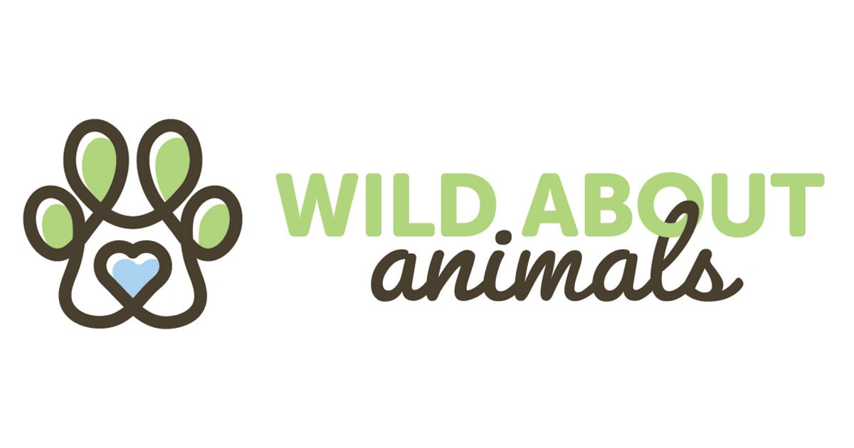 Wild about animals | Modern Woodmen